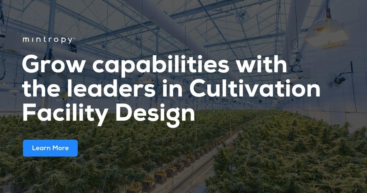 Cultivation Facility Design & Hemp Grow Rooms | Mintropy